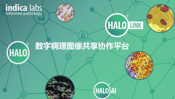 HALO Link ™ - 数字病理图像共享协作平台 | 上海新振仪器设备有限公司