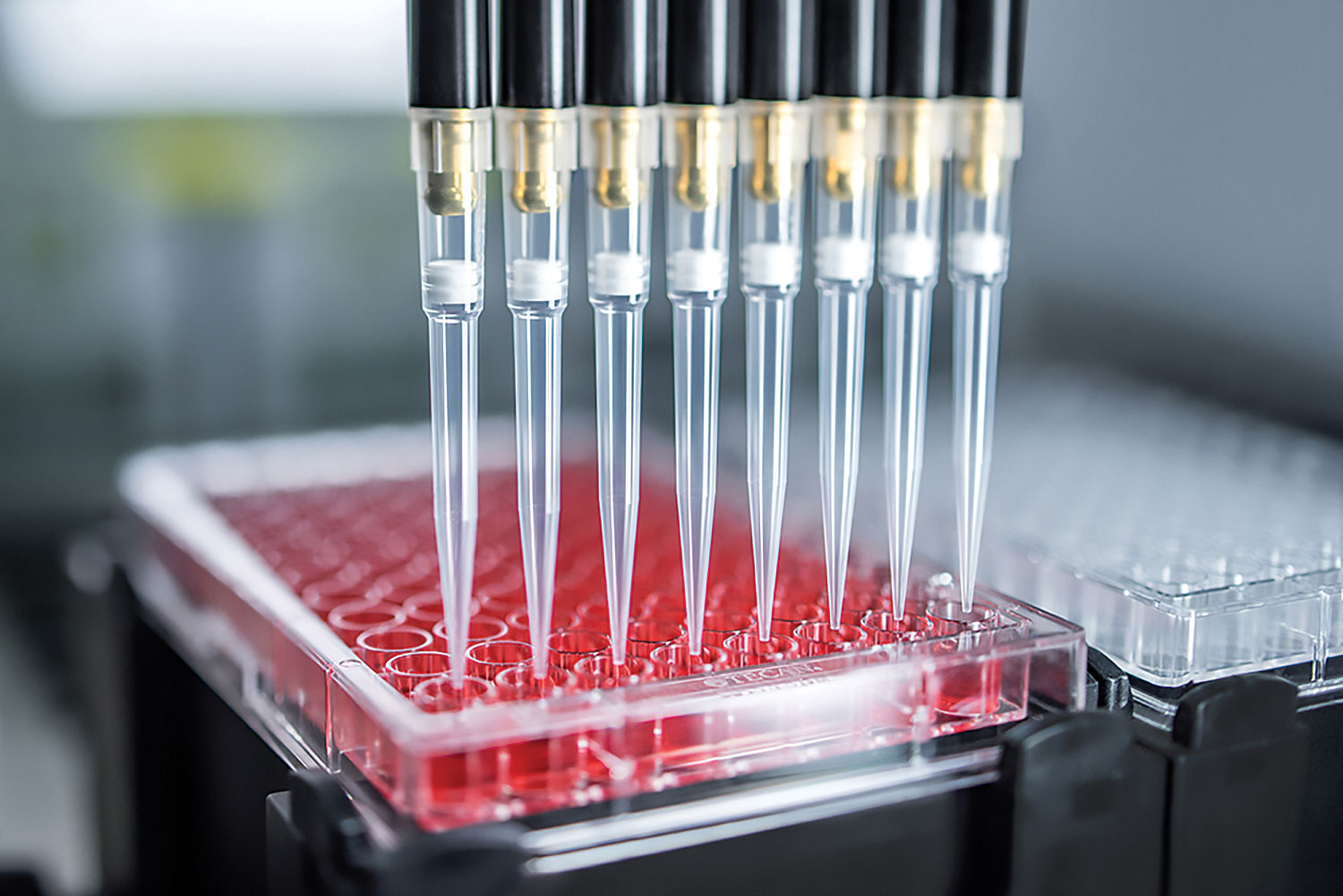 PCR体系构建 | 上海新振仪器设备有限公司